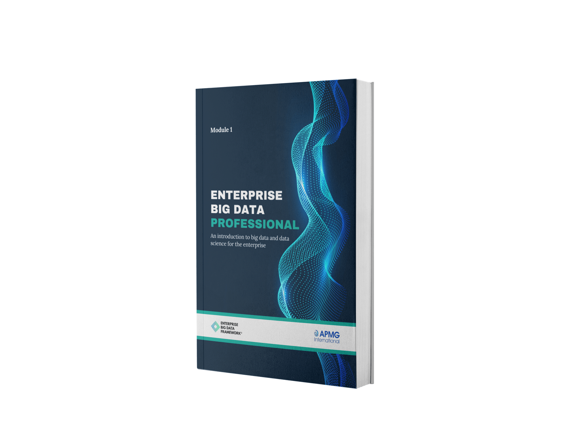Big Data Archives | Enterprise Big Data Framework